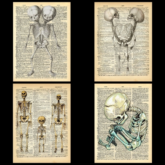 Other | Skeleton Anatomy Dictionary Book Page Art | Poshmark
